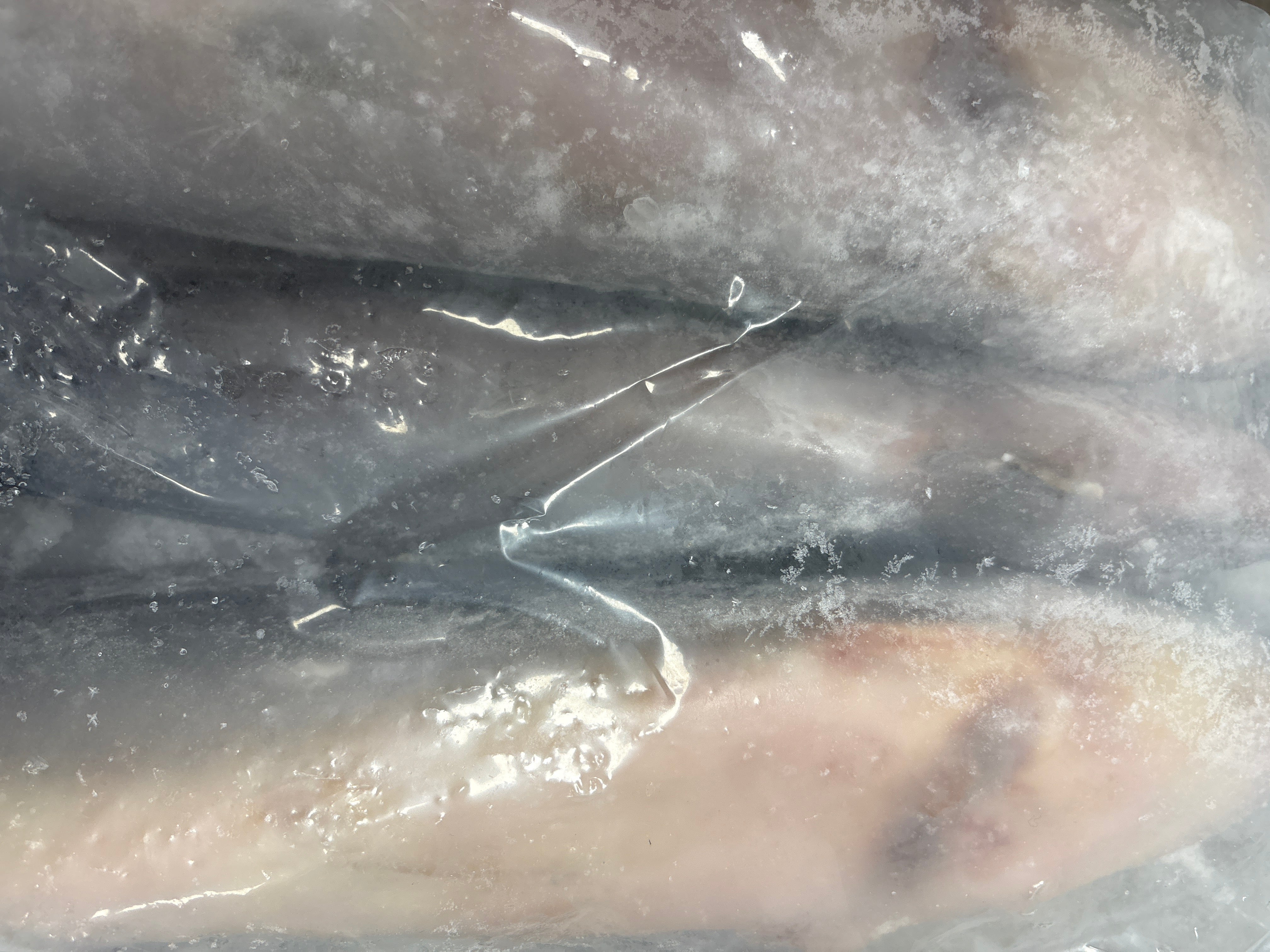 Frozen Catfish – NOLA AFRICAN FOODS